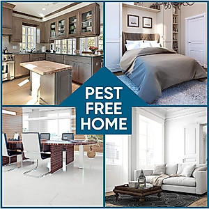 BRISON Ultrasonic Pest Repellent Plug in – Mice Rats Spider Control - for Repelling Rodents Insects Out of Indoors, Non-Toxic Electronic