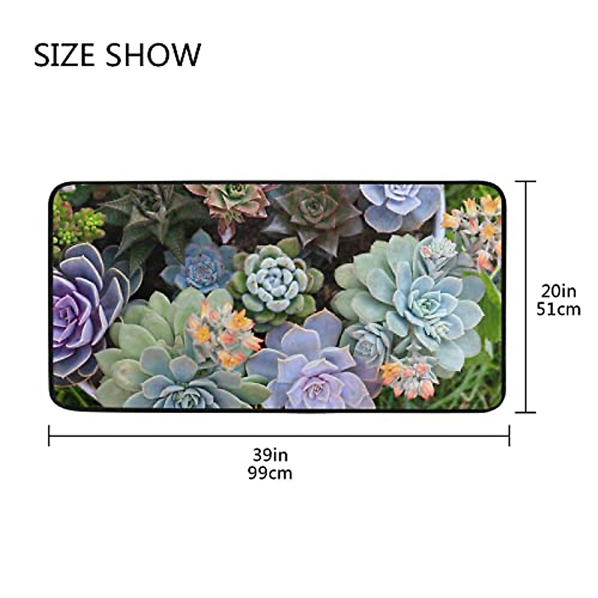 KFBE Succulents Plant Area Rugs 39x20 inch Carpet for Kitchen, Bathroom, Laundry Room, Bedroom (20809835)