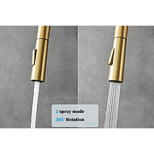 601&SS601 Gold Kitchen Faucet with Pull Down Sprayer and Gold Drinking Water Faucet