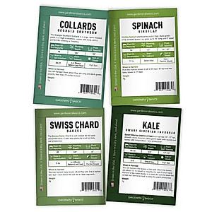 8 Leafy Garden Greens Seeds for Planting Individual Packets - Arugula, Collards, Spinach, Swiss Chard, Kale, Lettuce, Leafy and Butter Lettuce Seeds for Your Heirloom Salad Garden by Gardeners Basics