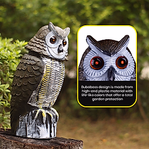 BuboBoss Fake Scarecrow Owl Decoy |16 Inch Solar Powered Motion Activated Plastic Owl to Keep Pigeons, Squirrels, Rabbits, and Rats Away from Gardens, Barns, Decks, and Terraces
