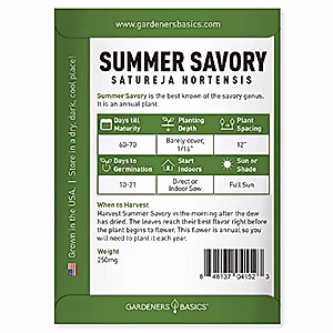 Summer Savory Seeds for Planting is A Heirloom, Non-GMO Herb Variety- Satureja Hortensis Herb Seeds Great for Indoor, Outdoor, Hydroponic Gardening by Gardeners Basics