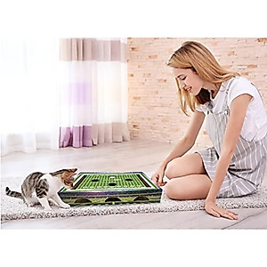 Pets First NCAA Iowa Hawkeyes Cat Scratcher Box, Game Day Cat Toy, NCAA Football Field Designed Cat Scratcher and Lounge, Stimulating Cat Game,IA-5028