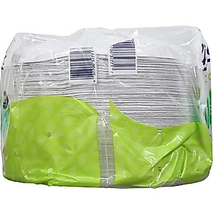 Chinet 10 3/8 Dinner Plate 100-count Box