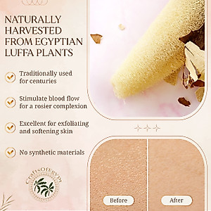 Egyptian Natural Loofah Pad Exfoliating Body Scrubber - Vegan Double Sided Luffa Sponges Deep Clean Your Body, Face & Back While an Exfoliating Washcloth Side Removes Oils - 6.9 x 4.7 Inches, 2 Pack