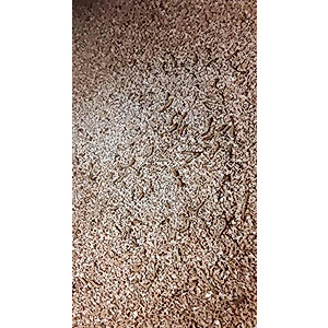 Josh's Frogs Mealworm and Superworm Culturing Bundle