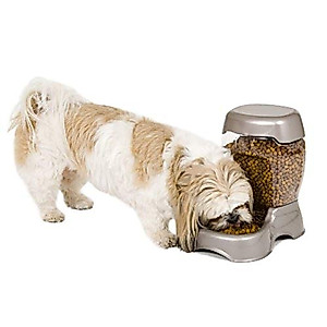 Petmate Pet Cafe Feeder Dog and Cat Feeder Pearlescent Colors 3 Sizes