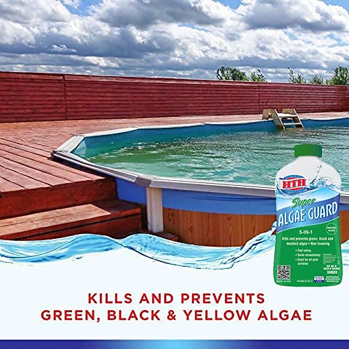 HTH 67032 Super Algae Guard Swimming Pool Algaecide Cleanser, 1 qt
