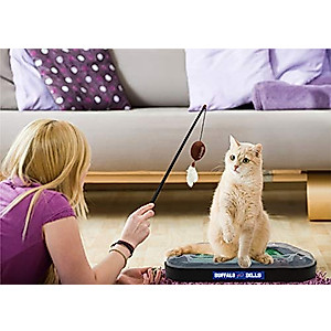 Pets First NFL Buffalo Bills Football Field CAT Scratcher Toy with Catnip Filled Plush Football Toy & Feather Cat Toy Hanging, with Jingle Bell Interactive Ball Cat Chasing 5-in-1 Kitty Toy