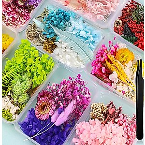 Dried Pressed Flowers Mixed Box for Resin Random, with 1 Tweezers, Real Natural Dry Mixed Flowers Leaves Bulk Herbs Kit for Scrapbooking DIY Art Crafts, Nail, Candle, Soap Making
