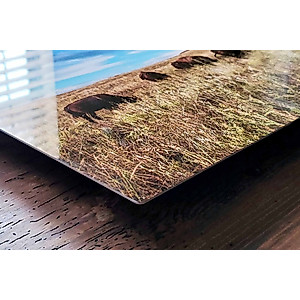 Western Wall Art (Ready to Hang) Metal Print of Red Rocks and Desert Landscape on Chilly Spring Evening near Sedona Arizona Nature Photography Southwestern Decor (24" x 36")