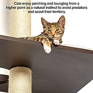 PetFusion Ultimate Cat Climbing Tower & Activity Tree. (24 x 20.8 x 76.8 inches (lwh) Tall Sisal Scratching Posts, Modern Wall Mounted cat Furniture, Espresso Finish). 1 Year Manufacturer Warranty