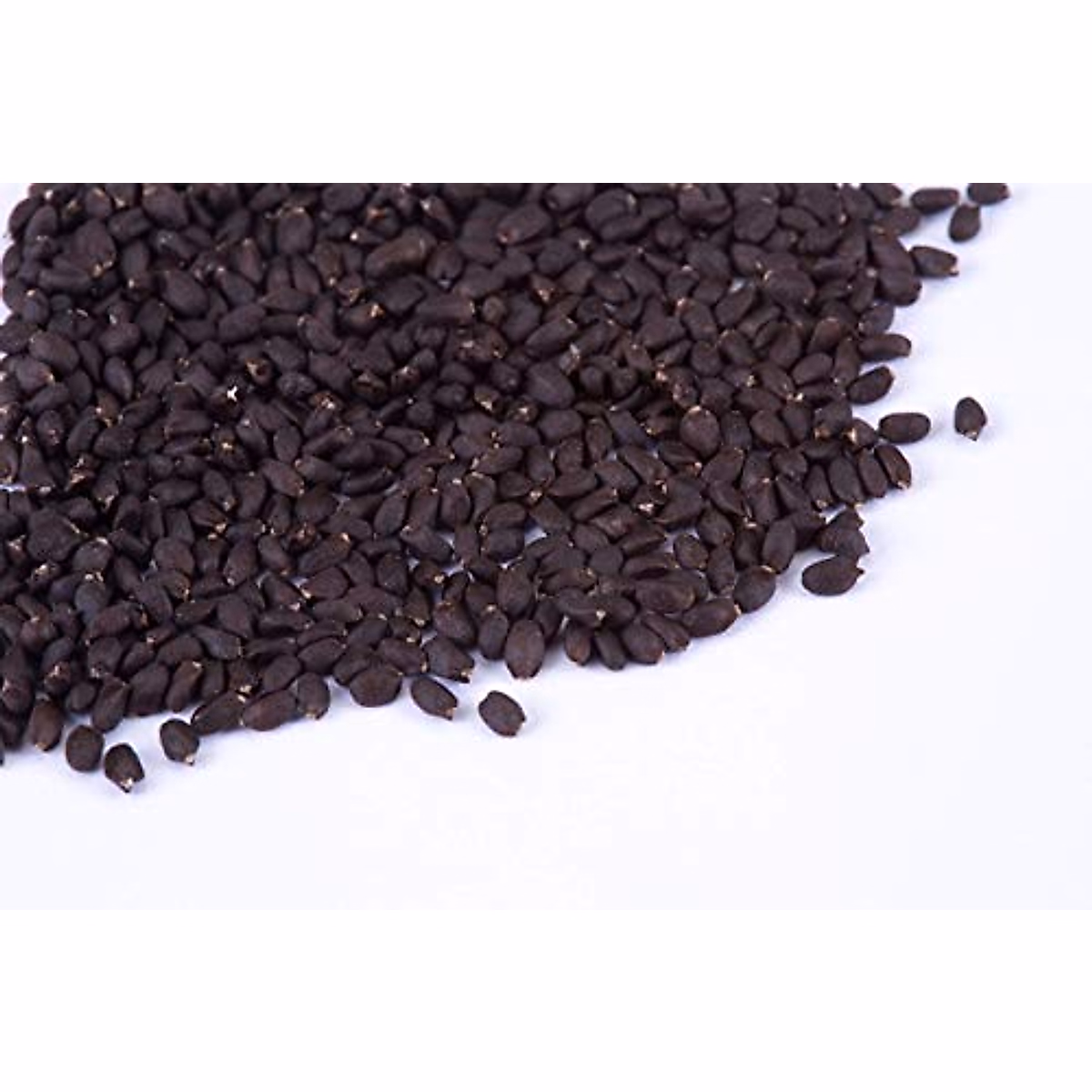 Bentley Seed Co. Set of 40 Vegetable Seeds for Planting - Gardening Seeds to Grow in a Garden or Indoors - Get your own Seeds for Planting Vegetables - Herb Seeds - Garden Seeds Vegetable Variety Pack