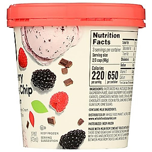 365 by Whole Foods Market, Ice Cream Raspberry Chocolate Chip, 16 Ounce
