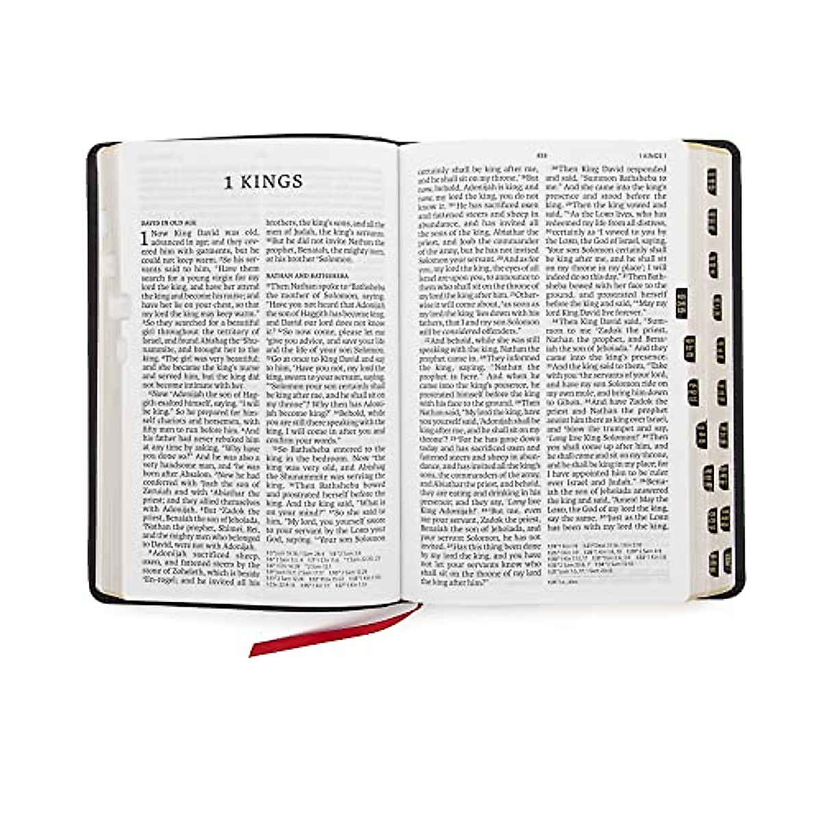 NASB Super Giant Print Reference Bible, Black Genuine Leather, Indexed, Red Letter, Presentation Page, Cross-References, Full-Color Maps, Easy-to-Read Bible Karmina Type