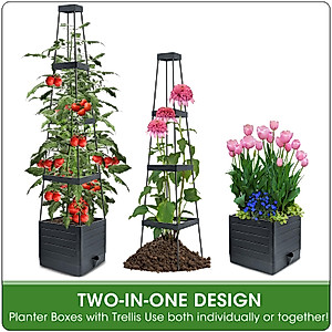 MQFORU 2 Packs Tomato Planter with Trellis, 57" Raised Garden Bed Planters Box for Climbing Vegetables Plant, Self Watering Tomato Cages for Garden Pots for Patio Greenhouse Indoor Outdoor（2PCS）