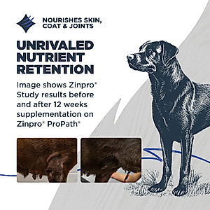 Blackwood Grain Free Dry Dog Food, Chicken & Field Pea Recipe, 10 Pound Bag for All Life Stages, Slow Cooked with Vitamins & Minerals for a Balanced Diet