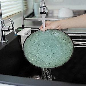 Yakitoko Dinner Plates Set of 6, 10.6 Garden Sculpture Outdoor Decoration