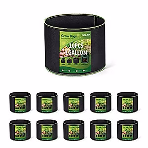 Delxo Garden Grow Bags 1 Gallon 10 Pack Plant Growing Bags Small Fabric Pots for Planting, Vegetable