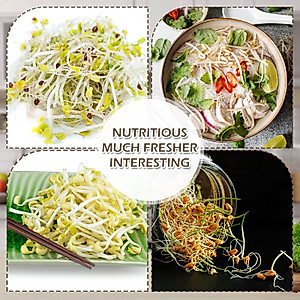 6 Pack Sprouting Lids with Stainless Steel Sprouting Jar Stands, Blackout Sleeves, Sprouting Kit for Wide Mouth Mason Jar, Organic Sprouts