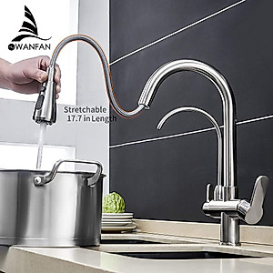 WANFAN Kitchen Sink Faucet with Pull Down Sprayer 2 Handle 3 in 1 Water Filter Purifier Faucets Brushed Nickel 0195SN