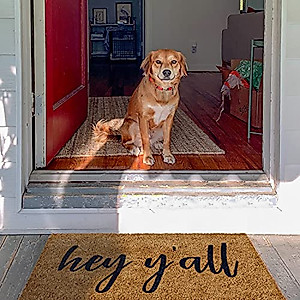 Hey Y'all Welcome Mat Outdoor 30x17 Inch Funny Coir Doormat with Anti-Slip Backing, Hey Yall Door Mat, Entrance Natural Outdoor Door Mat Southern Door Mat Hey Yall Doormat Front Door Mat Hey Yall
