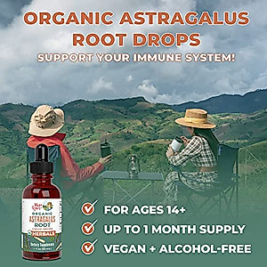 USDA Organic Astragalus Root Liquid Drops & USDA Organic Adults Adrenal & Focus Support Bundle by MaryRuth's | Immune Support, Focus, and Cardiovascular Support | Ginkgo Biloba | Brain & Memory Drops