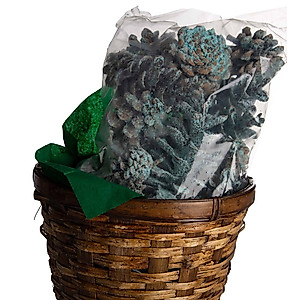Plow and Hearth Color-Changing Fireplace Color Cones, 1 lb. in Gift Basket, Indoor/Outdoor Wood Fires, Fire Pit, Hostess Gift, Housewarming Gifts, 10 Minutes, Blue and Green Flames, 7" Dia. x 10" H