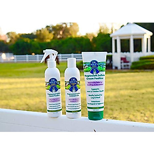 Dr. Milt's Hip and Joint Care, Horse Liniment for The Horse and Rider - 3 Pack - 8oz Cream, Gel, Spray.