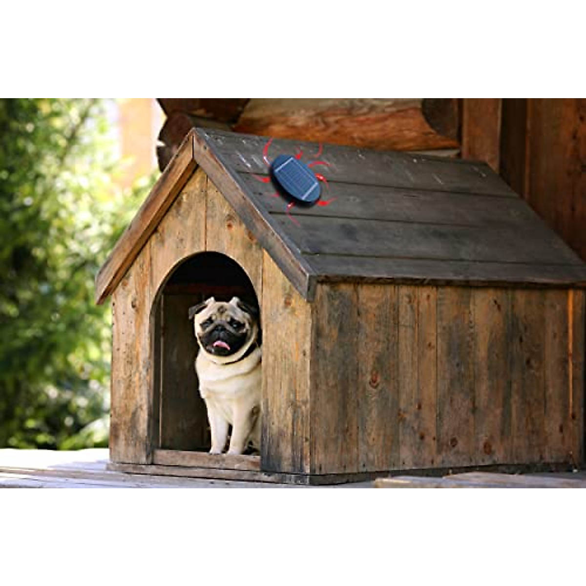 Quietcool Solar Utility Fan for Sheds, Greenhouses, Portable Restrooms and more