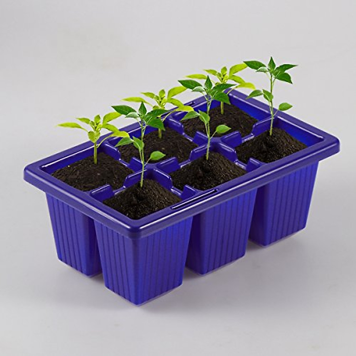 Yardwe 5 Pcs Square Seedling Pots Plant Germination Trays Vegetable Tray Plant Grower Sprouter Tray Starter Trays Growing Trays Microgreens Tray Mini Plants Miniature Planting Tray