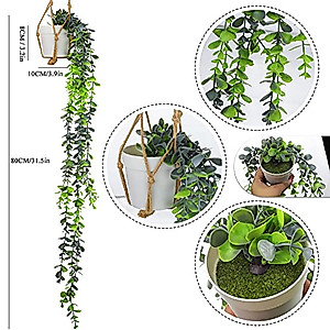 Oxsaytee 2 Pack Fake Hanging Plants with 2 Pcs Plant Hangers Fake Potted Plants for Wall House Home Office Room Patio Indoor Outdoor Aesthetic Decor