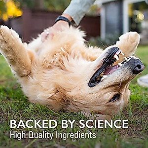 Nutramax Imuquin Immune Health Supplement Powder for Dogs, with Beta Glucans, Marine Lipids, Vitamins and Minerals, 30 Packets