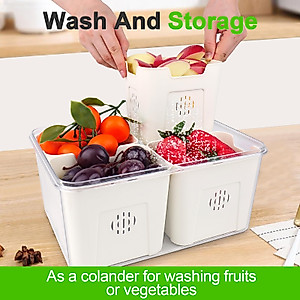 Airtight Fruit Storage Containers for Fridge: 4 Compartment Large Food Storage Container with Lids & Handle & Removable Drain Tray - Berry Fruit Vegetable Fresh Produce Saver for Travel Picnic
