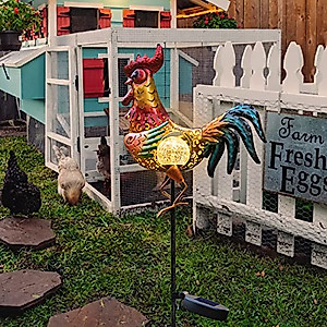 Tryme Solar Lights Outdoor Decorative Rooster Garden Decor Chicken Crackle Glass Globe Stake Lights Waterproof Warm White LED Yard Decor for Pathway Lawn Patio Courtyard Backyard