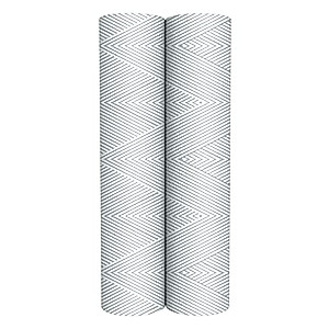 CFS COMPLETE FILTRATION SERVICES EST.2006 Compatible for OmniFilter Model RS2-DS 2 Pack String Wound Filters Whole House Water Filter Cartridges