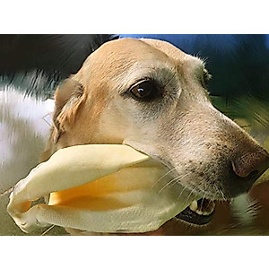 Brazilian Pet 100% Natural - Over 6 inches- Real Cow Ears (50 Pack) Prime Dog Chews, Free Range Grass Fed Cattle