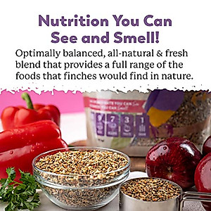 Dr. Harvey's Fabulous Finch Food for Outside Feeder and Indoor Birds- Premium Bird Feed with Seeds, Nuts, Fruits, Vegetables for Finches Trial Size (4 Oz)