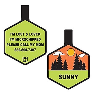 Silent Dog Tag Personalized with 5 Lines of Custom Deep Engraved Durable Soundless Silicone Pet ID Name Tag Hexagon Forest Day
