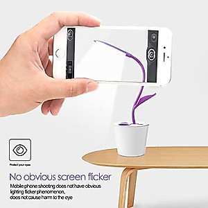 iEGrow Kids Desk Lamp for Rooms, Cute Desk Lamp USB Charging Desk Lamp with Pen Holder for Home Study ( Purple )