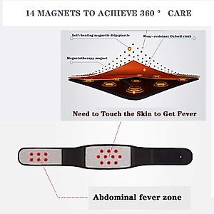 LSRRYD Lower Back Support Belt Lumbar Support Brace Self-Heating for Pain Relief and Injury Prevention Sciatica Spinal Stenosis Scoliosis Or Herniated Disc (Size : Large)