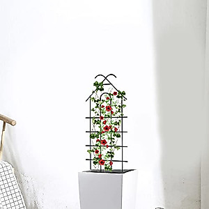 ARIFARO 32'' Metal Garden Trellis for Climbing Plants, Indoor/Outdoor Sturdy Plant Trellis for Potted Plants,House Plants, Climbing Vines, Pack of 4, Black