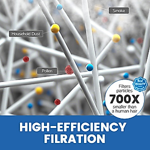 MK-06 TZ-K1 DH-JH01 Upgraded HEPA Replacement Filter Compatible with Tolife TZ-K1, Compatible with FreAire KN6391, Kloudi DH-JH01 and POMORON MJ012H Air Purifier (2 Pack Green-Pet Dander Version)