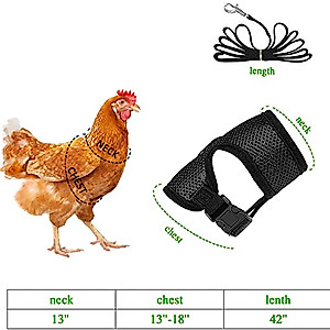 4 Pcs Adjustable Chicken Harness with Leash- 4 Styles Comfortable Hen Vest Breathable Mesh Chicken Training Harness and Leash for 2.5-3.6 Lb Duck Goose Hen Small Pets