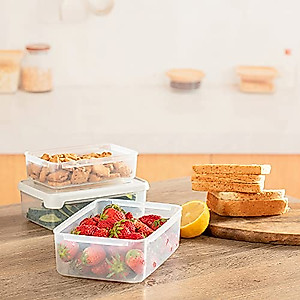 FOLIND Food Storage Container Set, Airtight Plastic Bowls with Lid (Pack of 3), Reusable - For Kitchen Pantry Organization - Lunch Box, Freezer & Microwave Safe, with Grey Lid