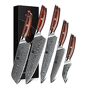 XINZUO 5-Piece Damascus Kitchen Knife Set, 67 Layer High Carbon Stainless Steel Forged Blade,Professional Chef Knife Set with Gift Box,Razor Sharp,Rosewood Handle - Yi Series