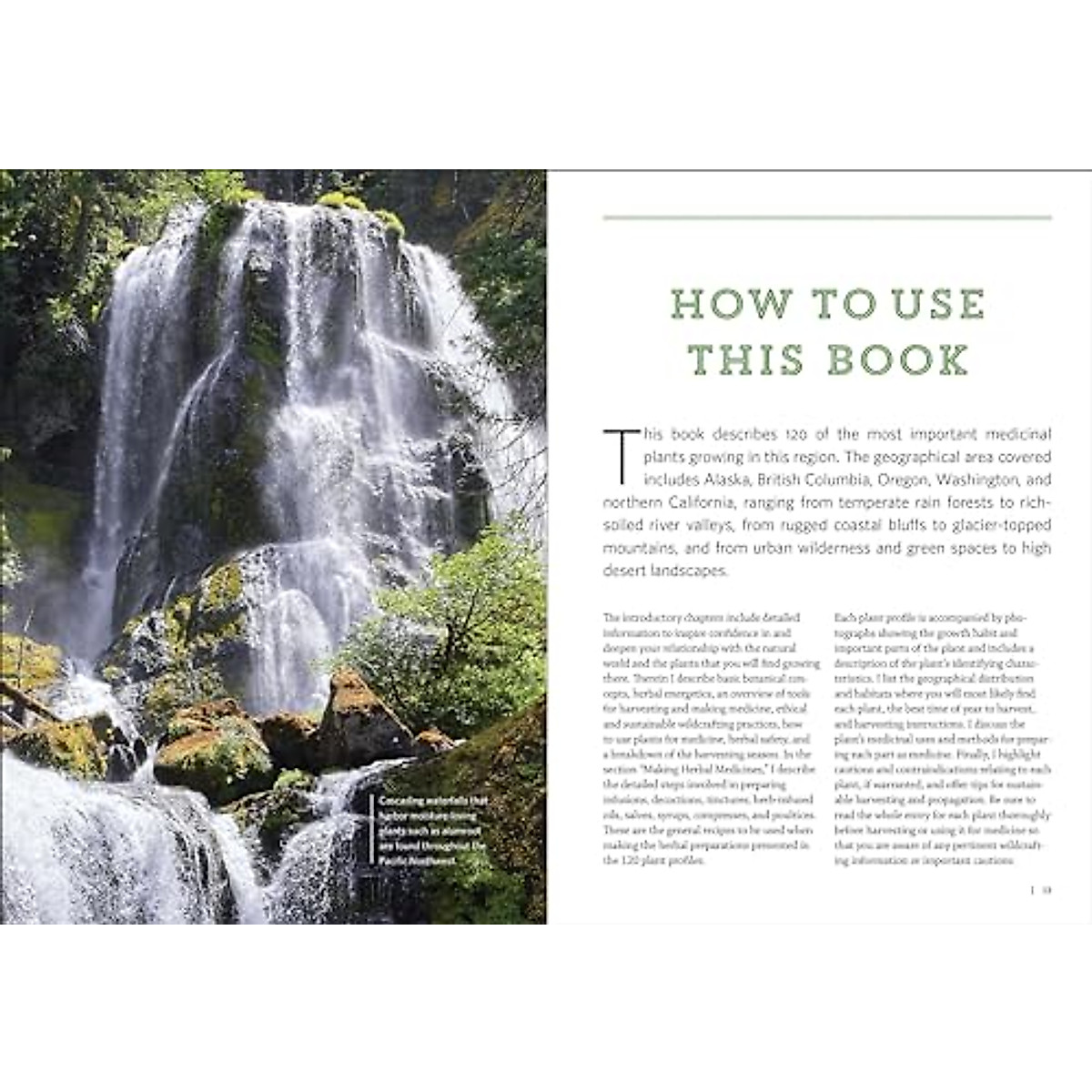 Pacific Northwest Medicinal Plants: Identify, Harvest, and Use 120 Wild Herbs for Health and Wellness (Medicinal Plants Series)