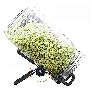 2 Pcs Stainless Steel Mason Jar Sprouting Jar Lids with 2 Pcs Stainless Steel Sprouting Stands for Wide Mouth Mason Jars Canning Jars (Black)