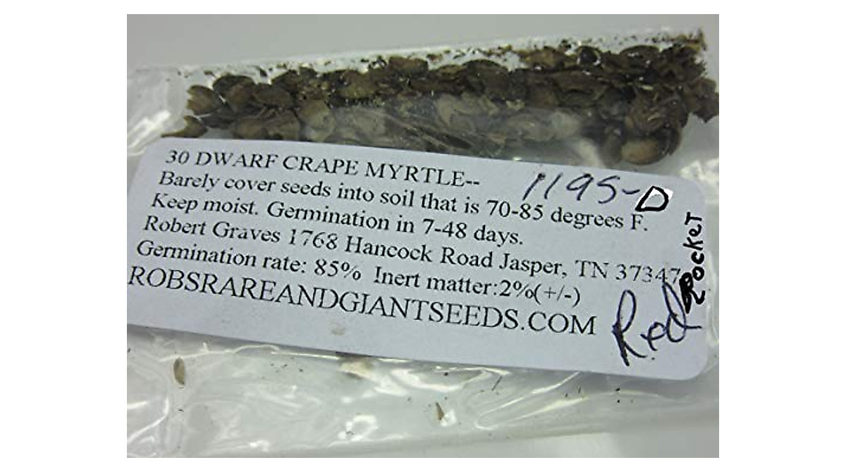 Buy 1195D-Dwarf Red-Rocket Crape Myrtle Seeds Online