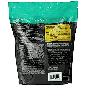 RoudyBush Senior Bird Diet, Small, 44-Ounce